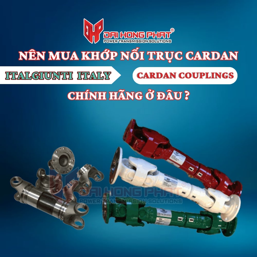 NÊN MUA KHỚP NỐI TRỤC CARDAN ITALGIUNTI ITALY (CARDAN COUPLINGS) CHÍNH HÃNG Ở ĐÂU? - Đại Hồng Phát